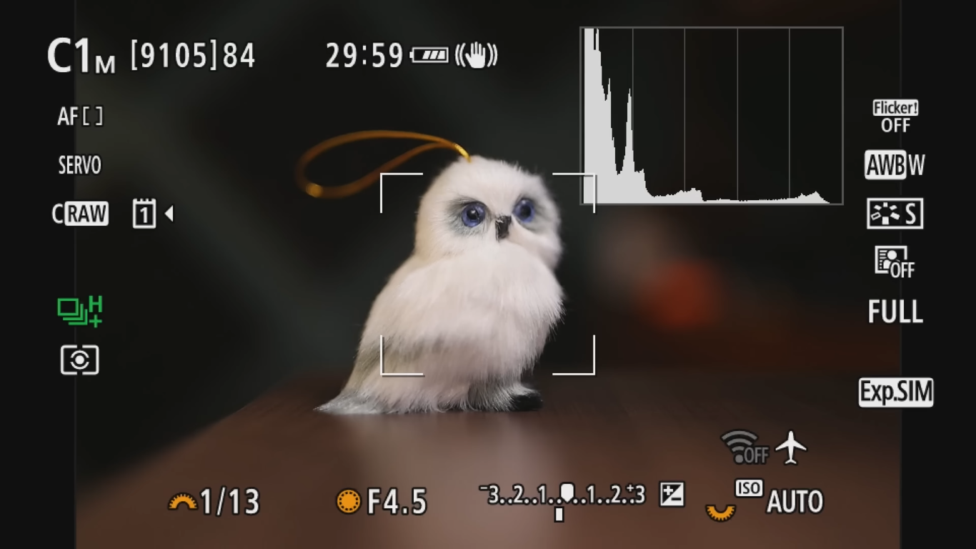 What Does ‘Blown Out’ Mean in Photography? - FotoProfy