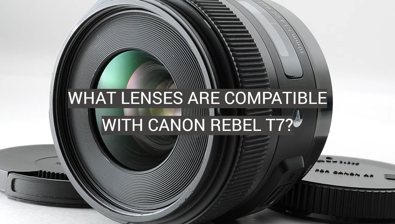 What Lenses Are Compatible With Canon Rebel T7? - FotoProfy