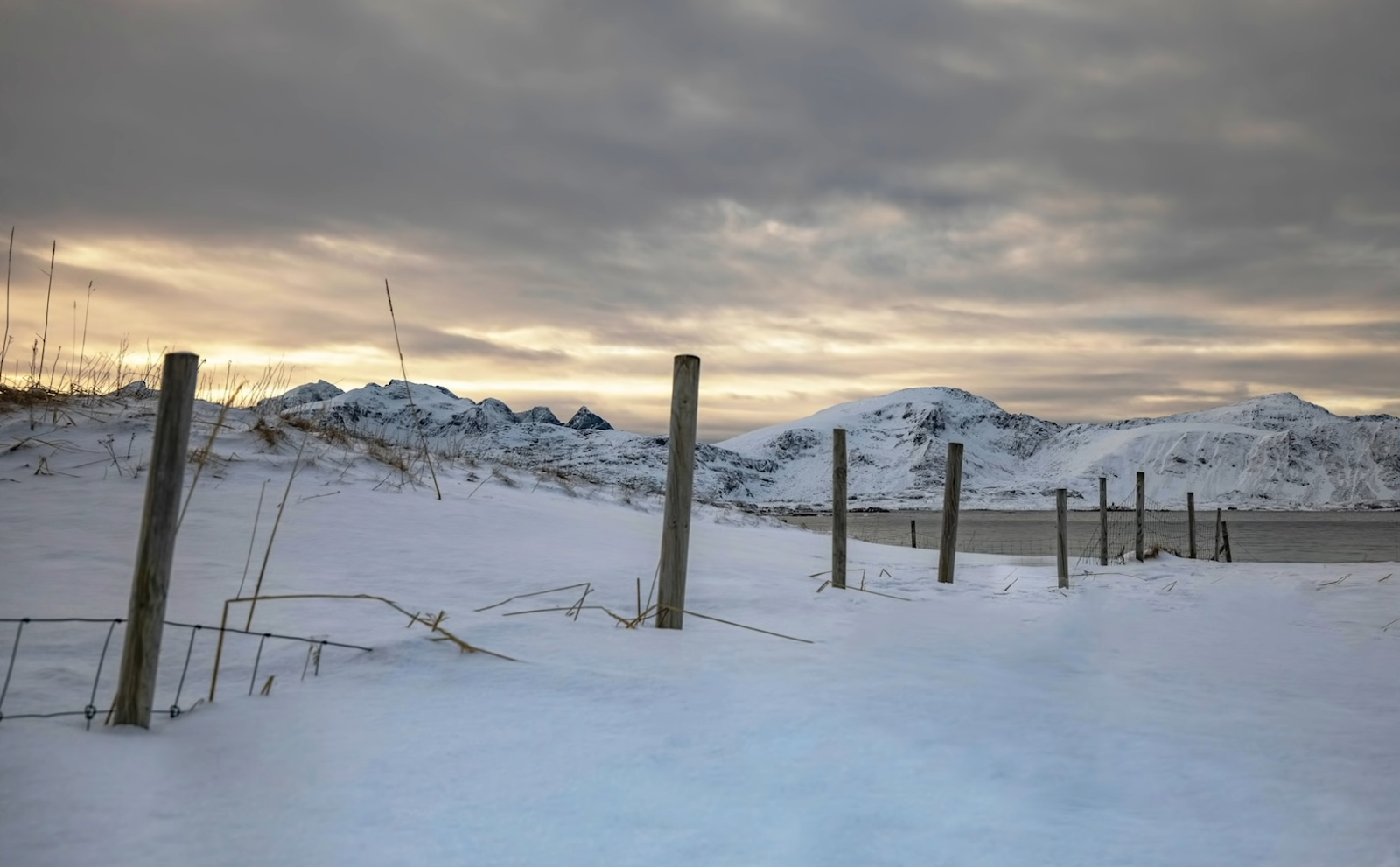 How to Tell a Photographer You Don’t Like the Photos? - FotoProfy