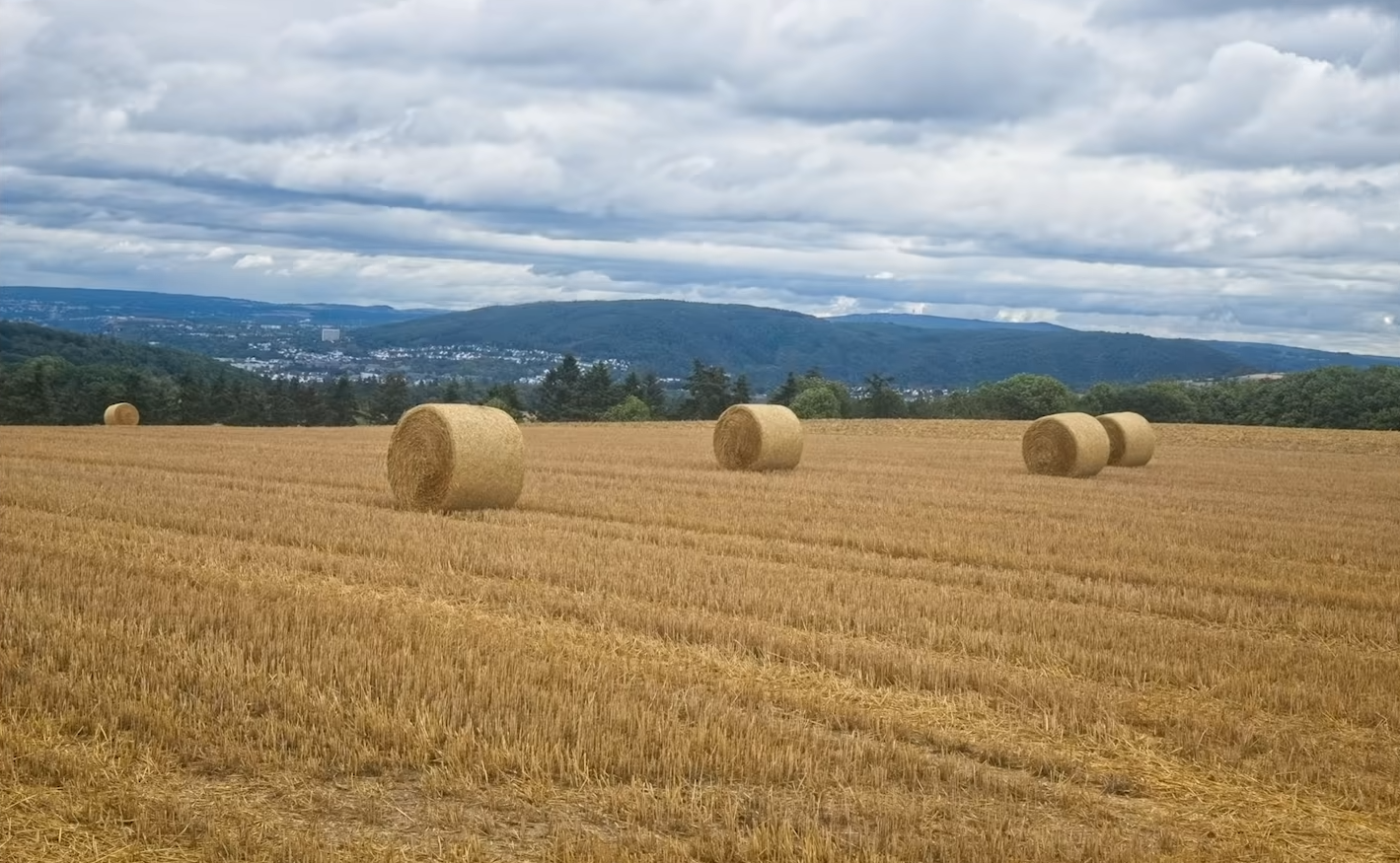 How to Tell a Photographer You Don’t Like the Photos? - FotoProfy