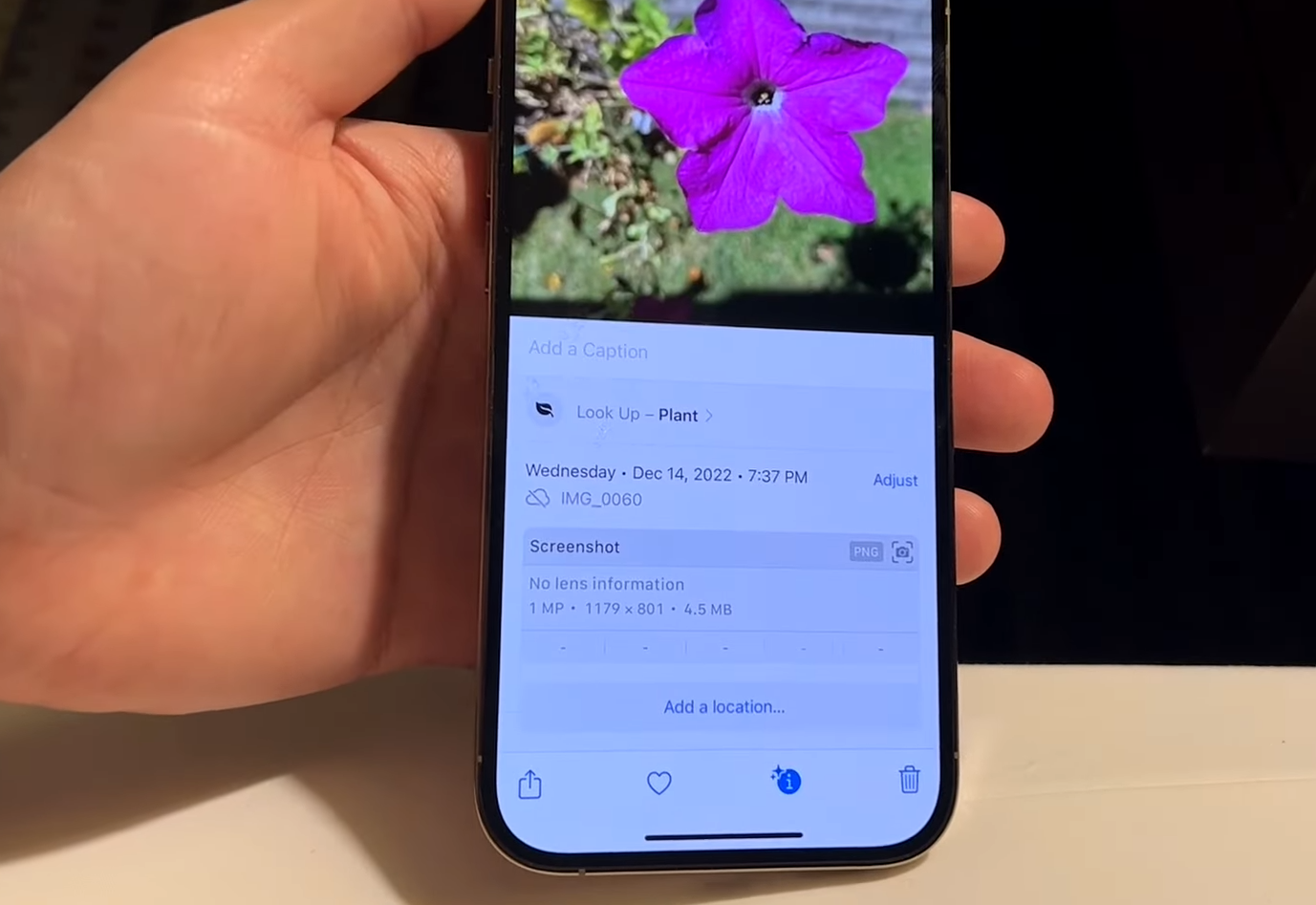 How to Zoom Out on a Picture Already Taken on iPhone? - FotoProfy