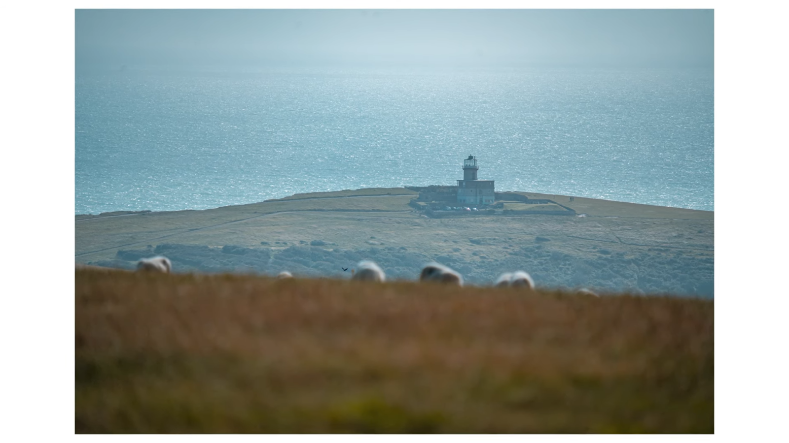 The Best Aperture for Portraits - FotoProfy